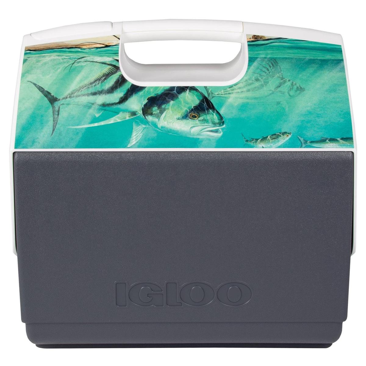 Igloo Amadeo Bachar Playmate Elite Rooster 16 Qt Cooler - Sun & Ski Sports