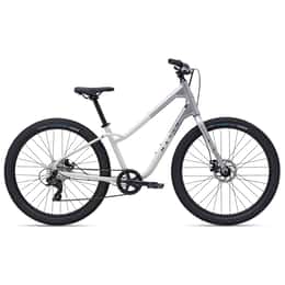 Cruiser & Comfort Bikes | Del Sol, Retrospec, Schwinn, Sun Bicycles ...
