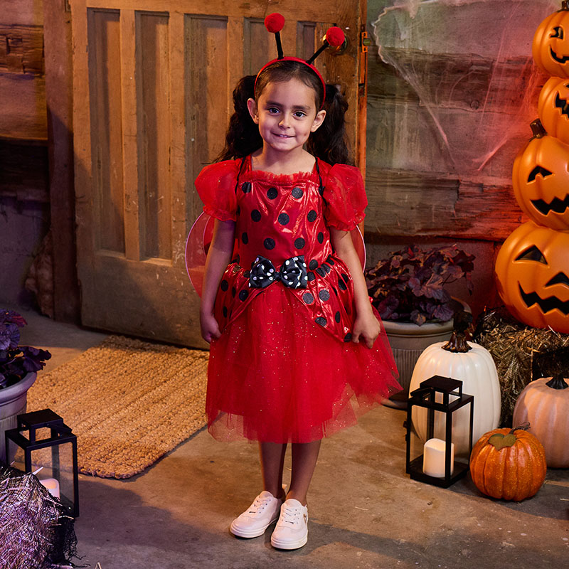 Ladybug With Wings Costume Cracker Barrel
