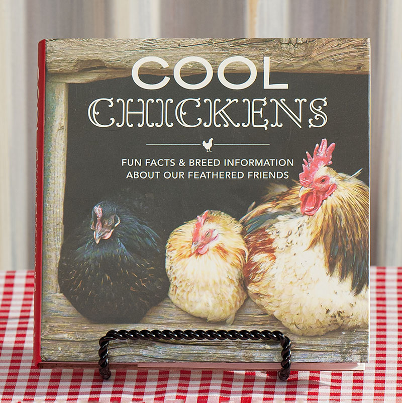 Cool Chickens Book - Cracker Barrel