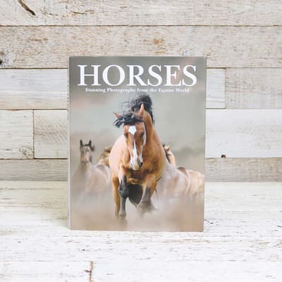 Search Results for horse - Cracker Barrel