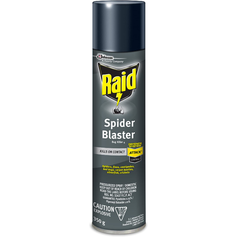 Raid Spider Blaster Bug Killer 6 Insecticide - 350g