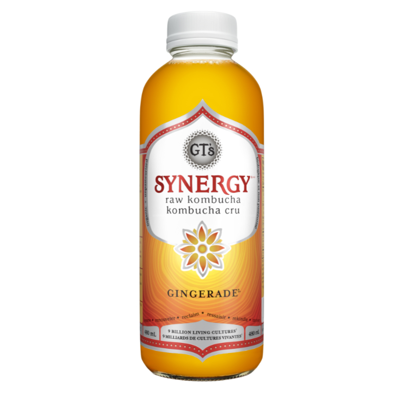 GT's Synergy Raw Kombucha - Gingerade - 480ml
