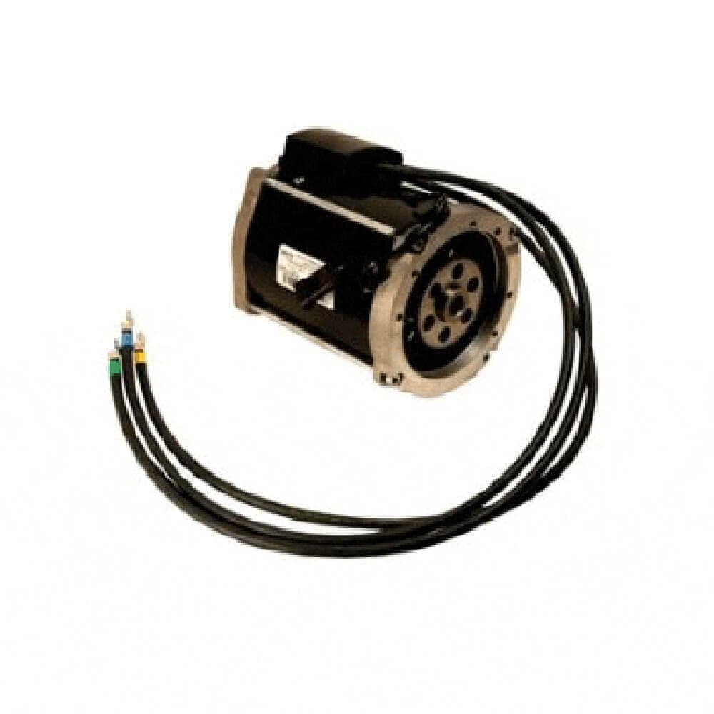 EZGO RXV 48-Volt AC Motor (Years 2008-Up) - Nivel Parts