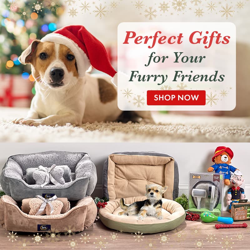 Dog gift websites store